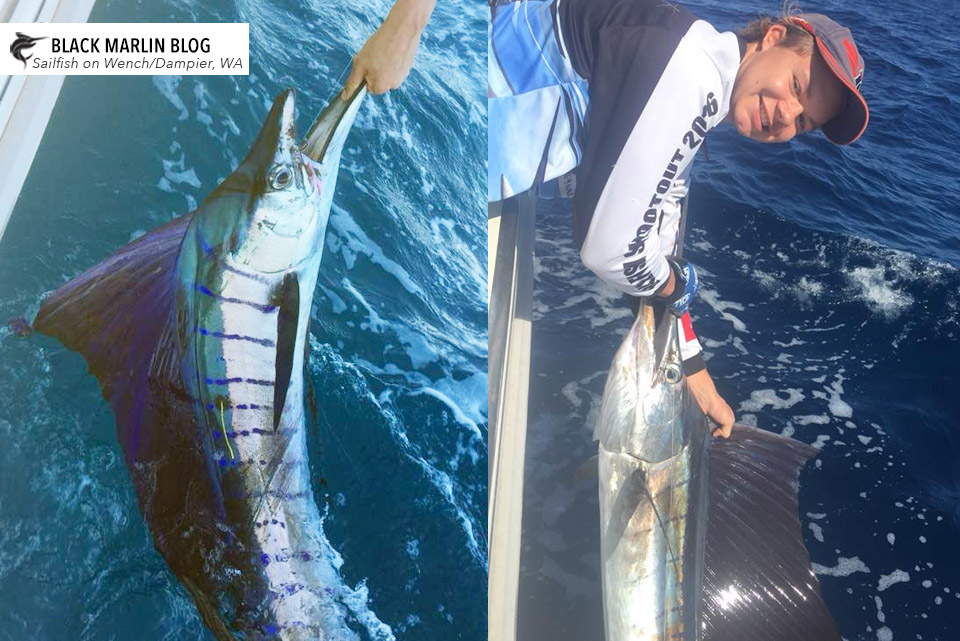 Season end and beginning » Black Marlin Blog