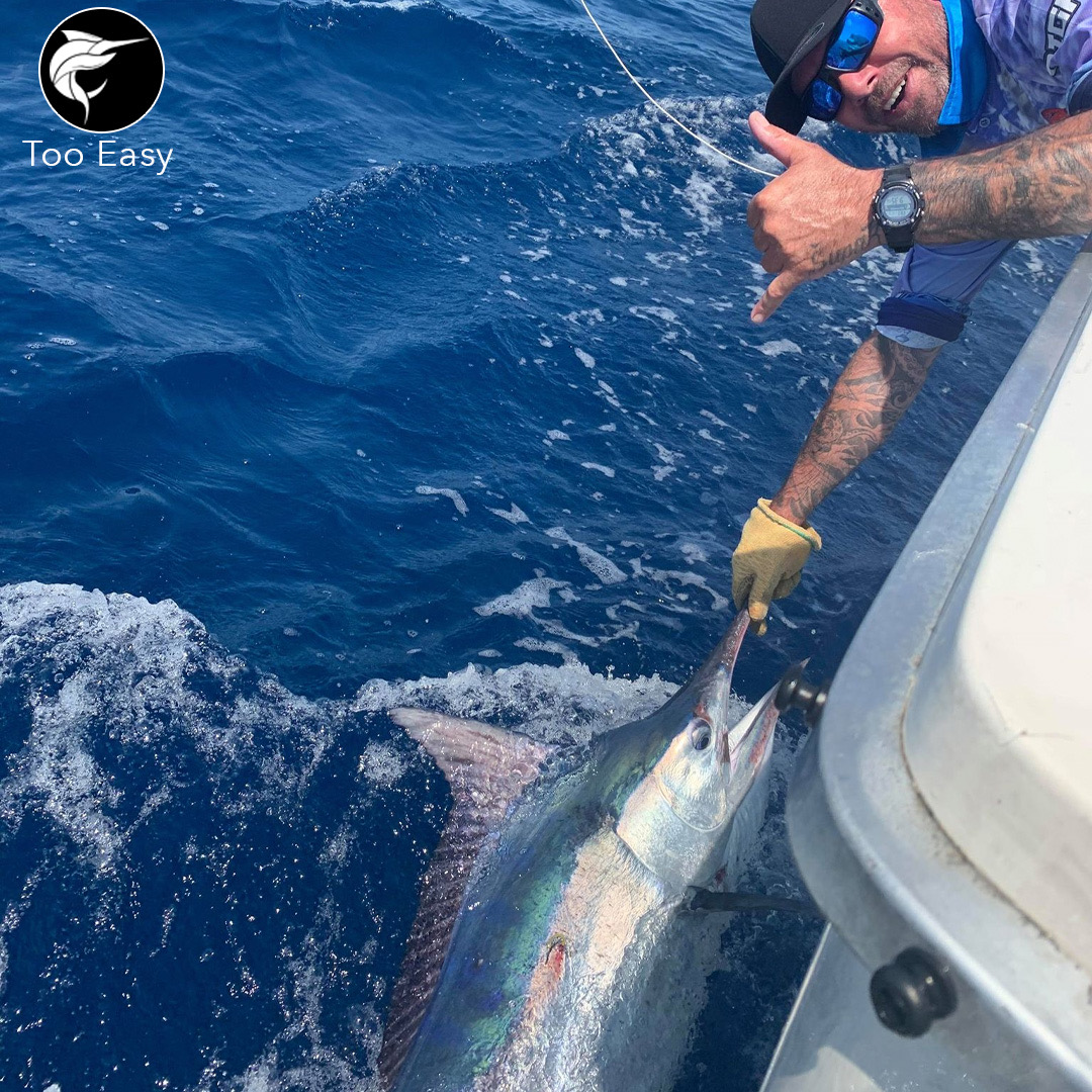 Happy New Marlin Year! » Black Marlin Blog