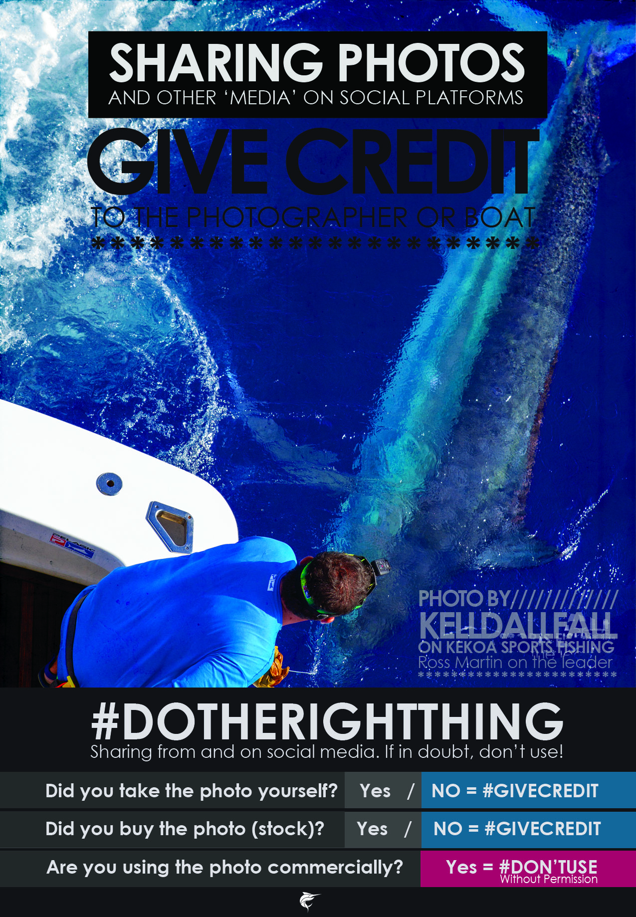 Black Marlin Blog - Australian Marlin Fishing » Black Marlin Blog